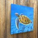 Sea Turtle Artist Proof, 6x6 Acrylic Painting, Mini Tropical Sea Life ...