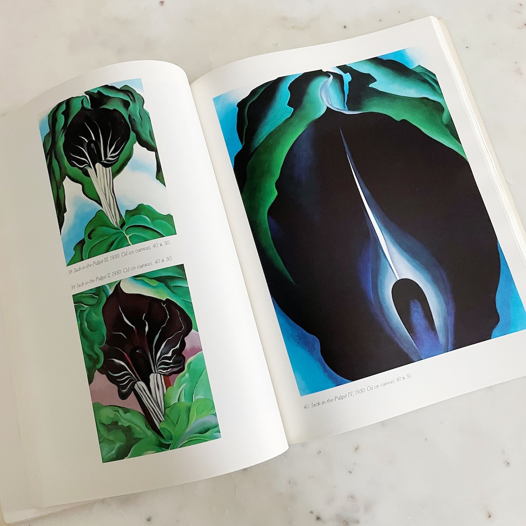 Georgia O'keeffe Vintage Art Book, 1977, American Female Artist, Floral ...