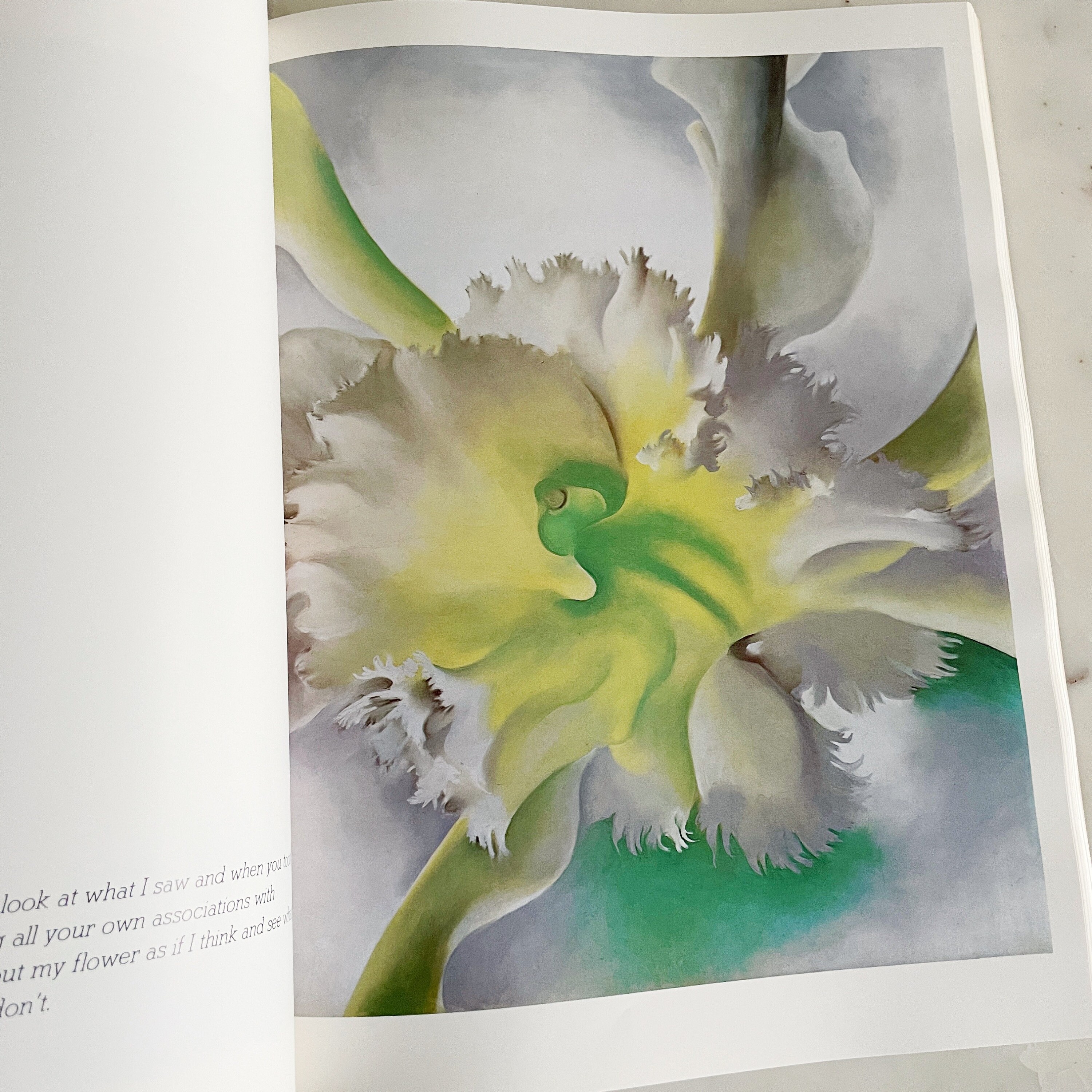 Georgia O'keeffe Vintage Art Book, 1977, American Female Artist, Floral ...