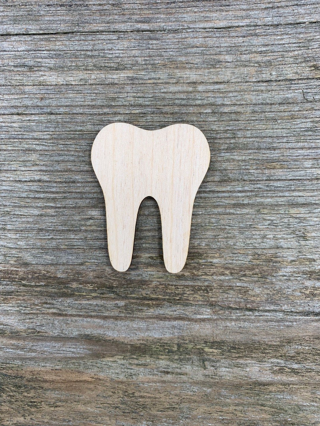 Wooden Tooth Shape, Various Sizes, for Crafts , Decoration, Natural ...