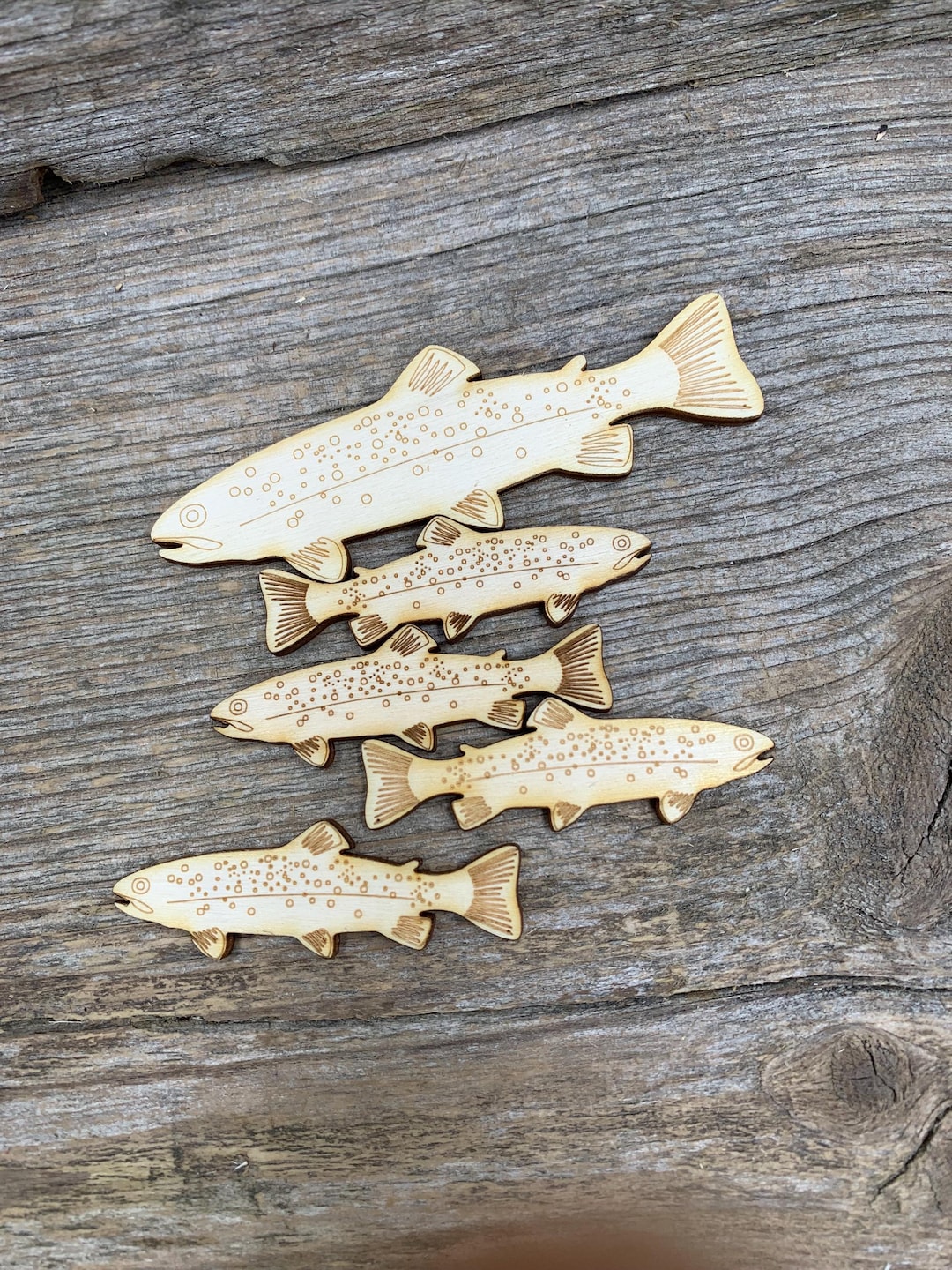 Rainbow Trout Wooden Fish for Craft, Carp Fish for Paiting, Various ...