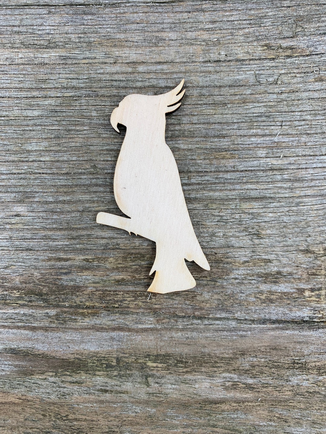 Wooden Bird Shape, Parrot, Various Sizes, for Crafts , Decoration ...