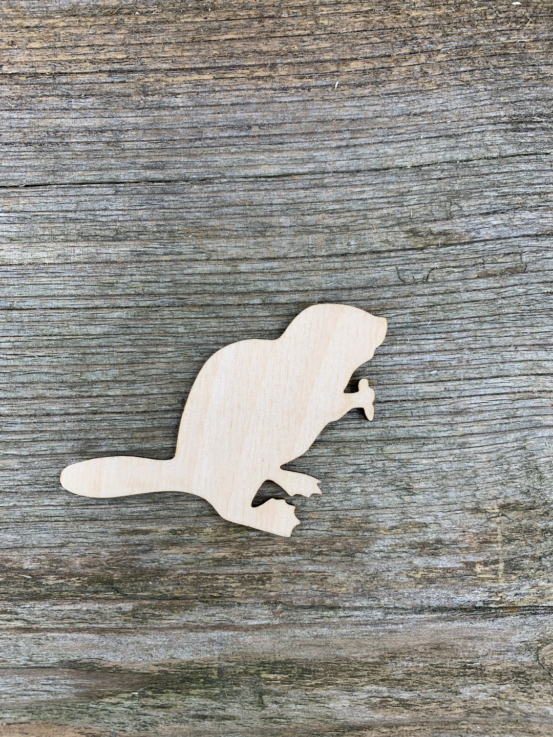 Wooden Beaver, Various Sizes, for Crafts , Decoration, Natural Wood - Etsy
