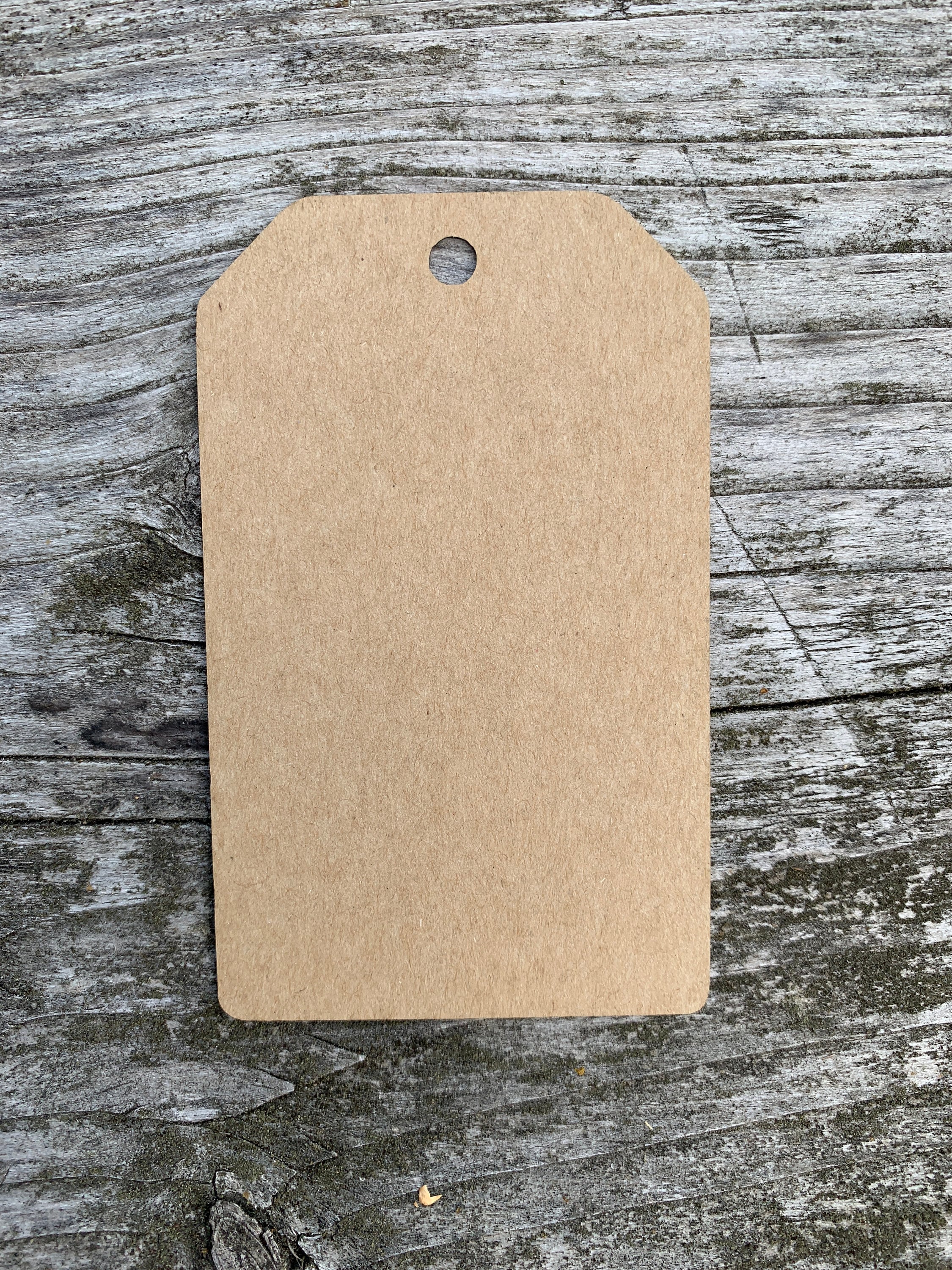 9 X 5.5 Cm Blank Paper Tagsluggage Tag Eco Card Paper | Etsy