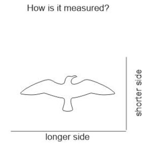 Wooden Flying Seagull, Various Sizes, for Crafts, Decoration, Natural ...