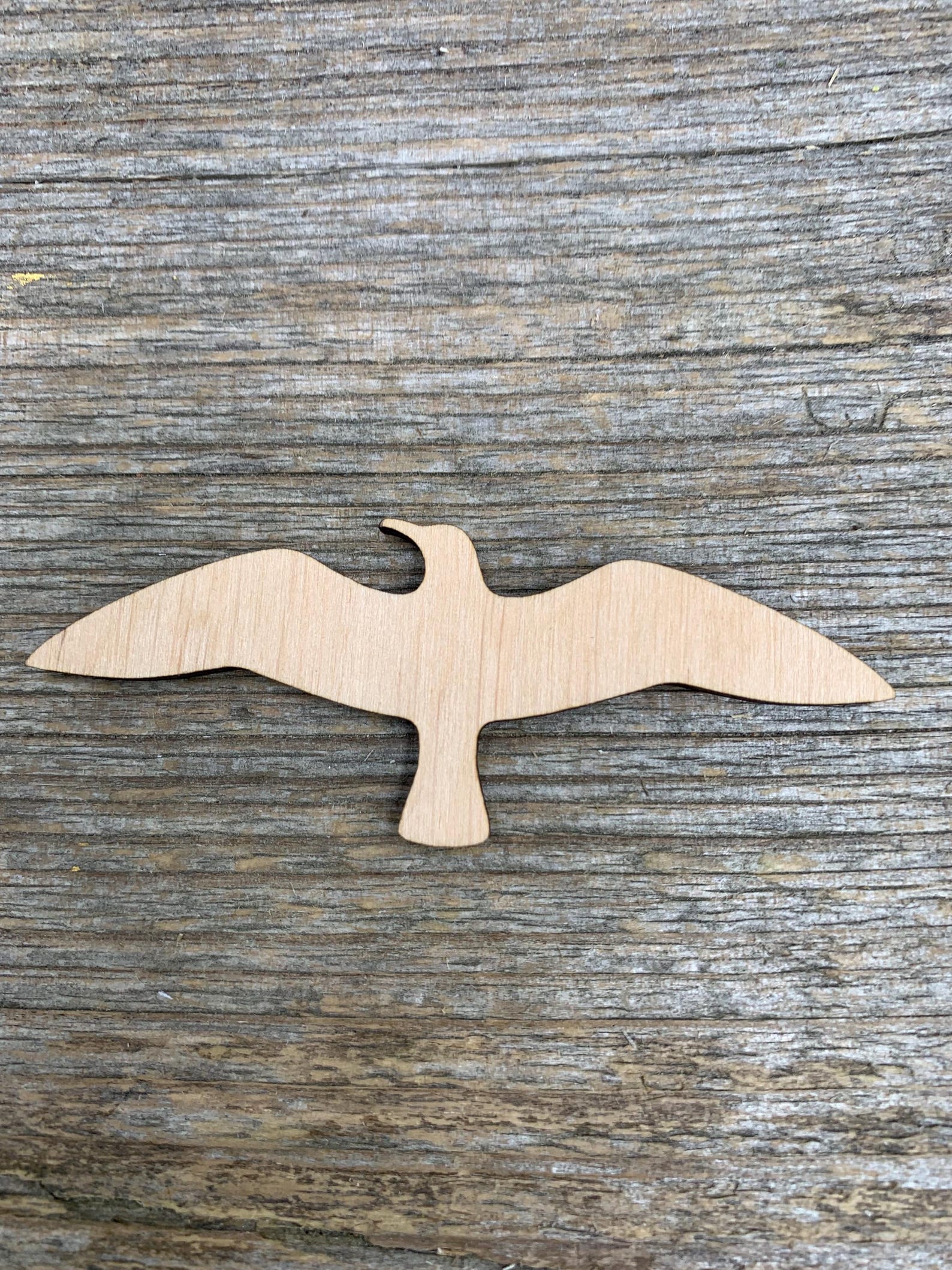 Wooden Flying Seagull, Various Sizes, for Crafts, Decoration, Natural ...