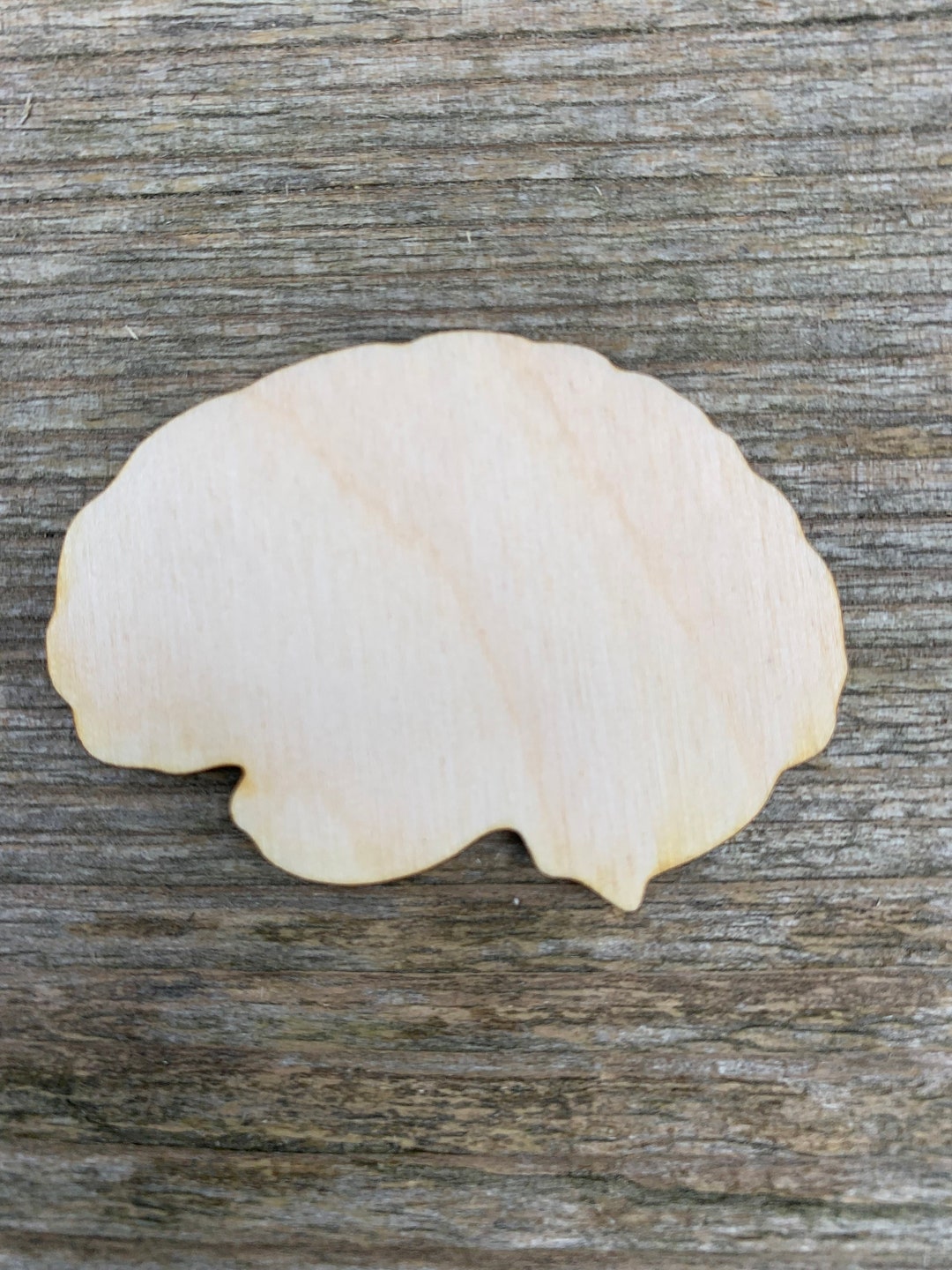 Wooden Human Brain Shape, Various Sizes, for Crafts , Decoration ...