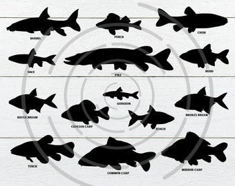 Carp fish dxf | Etsy