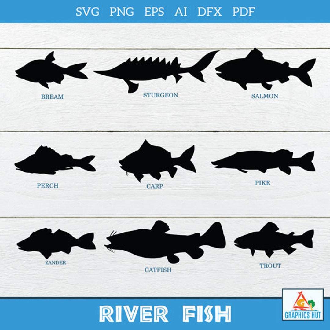 River Fish Vector Collection, River Fish Silhouette SVG, PNG, EPS, Dxf ...