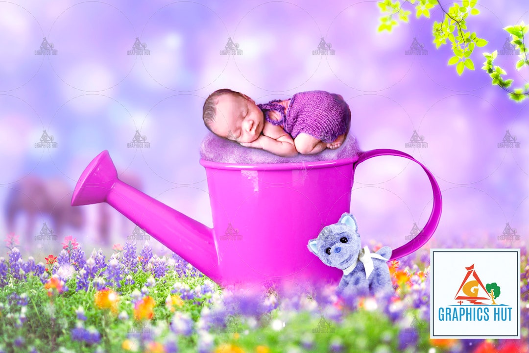 Newborn Digital Backdrop - Newborn Photoshoot Digital Scene ...