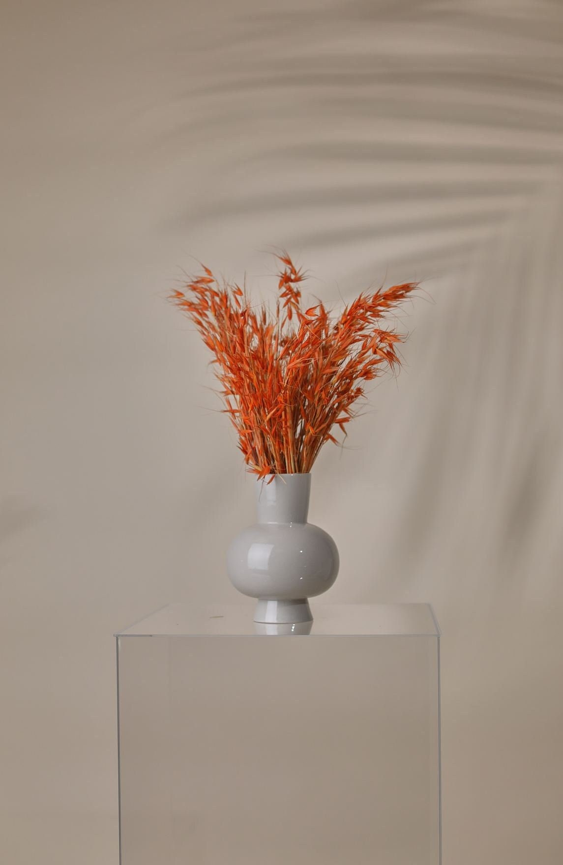 Burnt Orange Oats / Dried Avena Oats / Dried Flowers Bulk / - Etsy