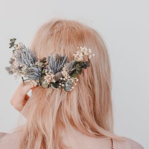 Real Dried Thistle Crown, Dried Eucalyptus and Preserved White Roses ...