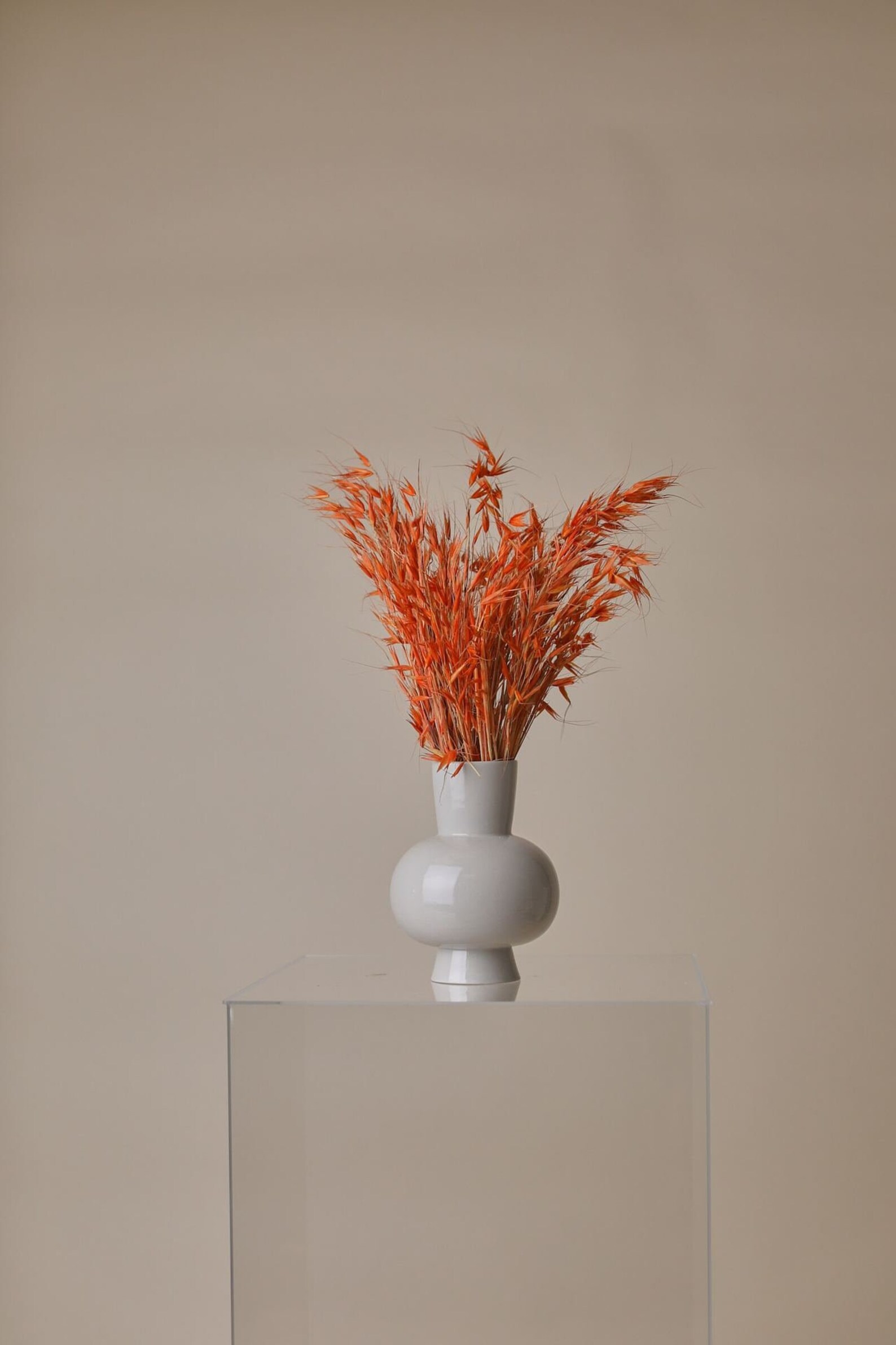 Burnt Orange Oats / Dried Avena Oats / Dried Flowers Bulk / - Etsy