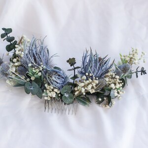 Real Dried Thistle Crown, Dried Eucalyptus and Preserved White Roses ...