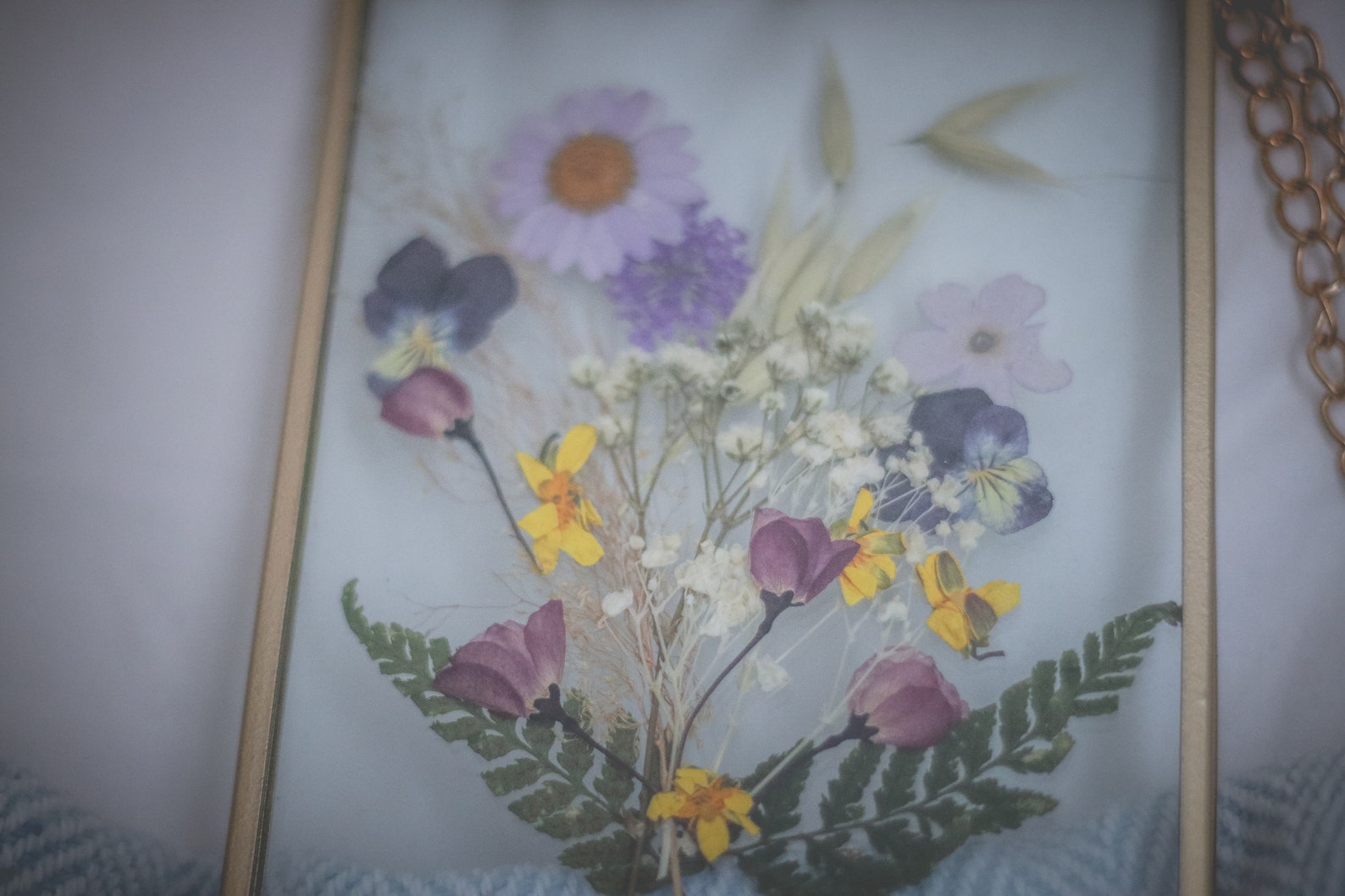 Vintage Pressed Flower Glass Frame Vintage Pressed Flowers - Etsy Canada