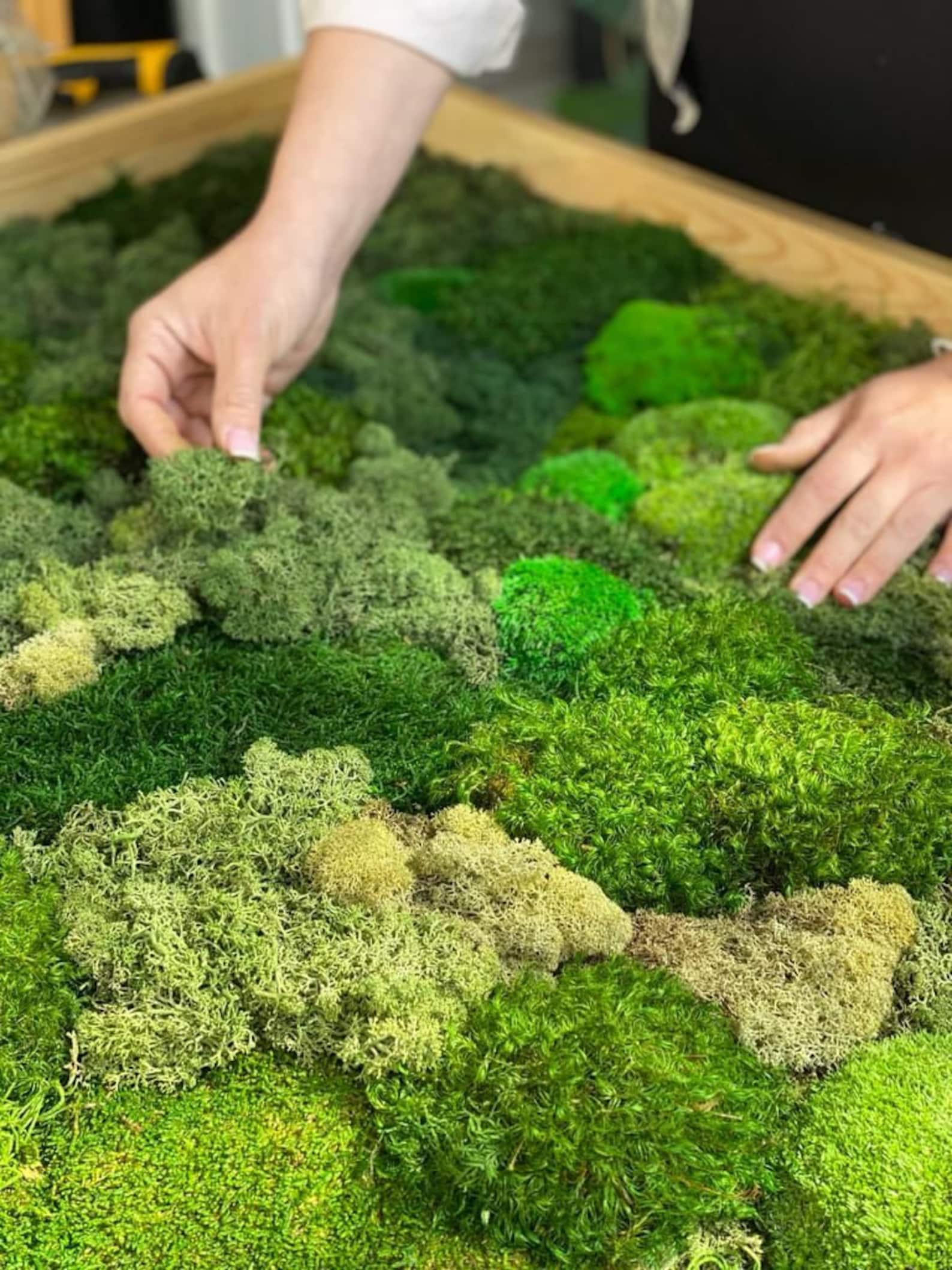 Moss Wall Art|size: 24”x60”|ombre Moss |green Wall |lavender |blue ...