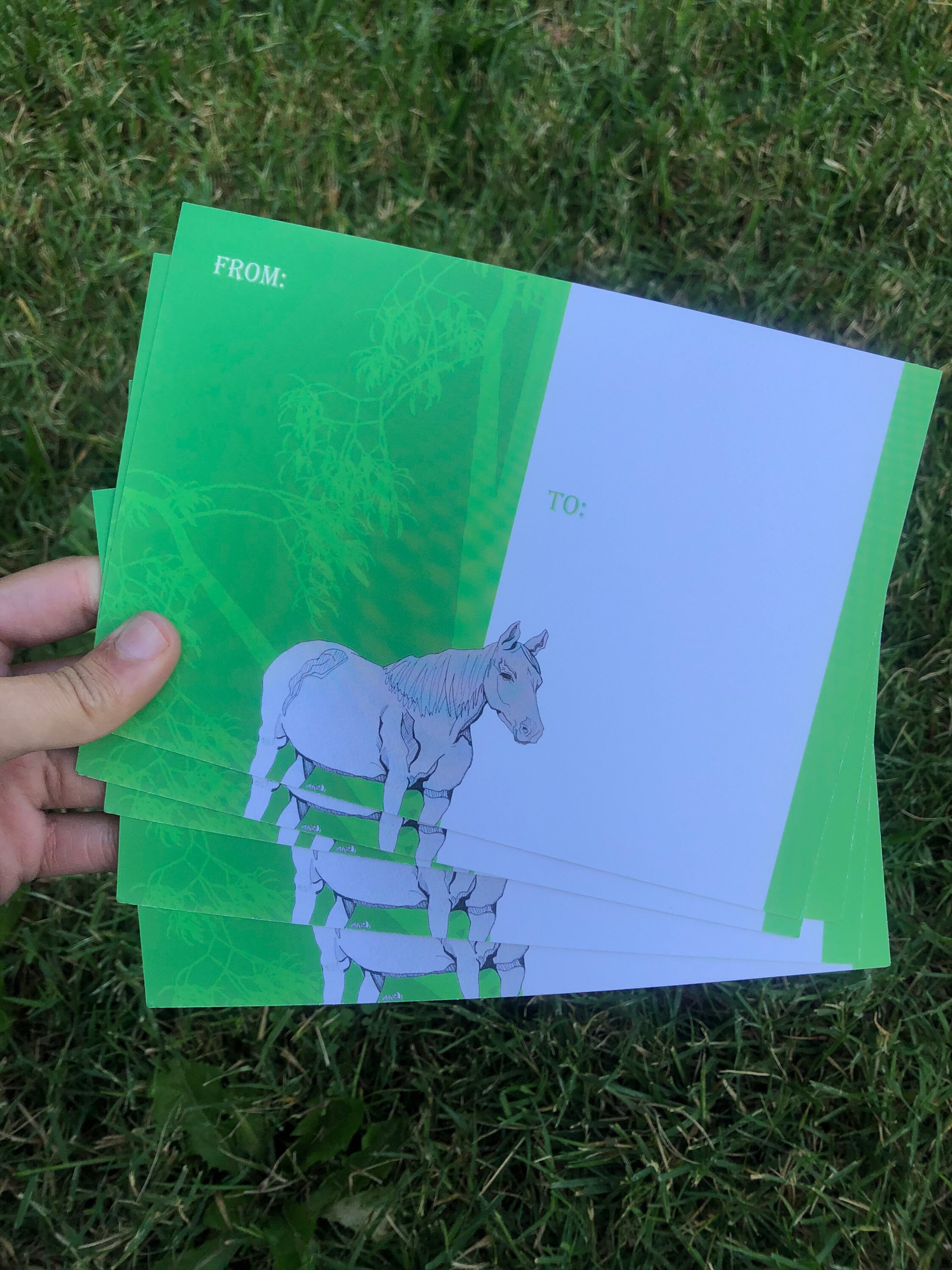 Quirky Historical Facts Postcards: Horse - Etsy