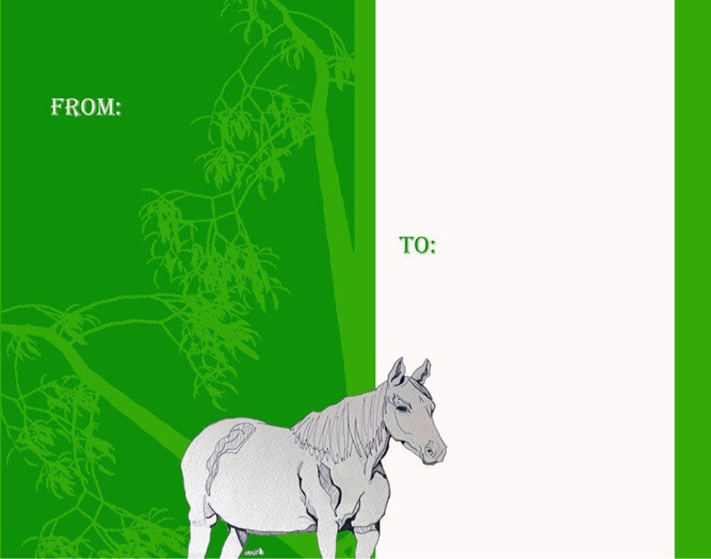 Quirky Historical Facts Postcards: Horse - Etsy