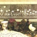 Rosewood Manor Designs/karen Kluba ~ S-1229 Barnwood Buttons - Optional ...