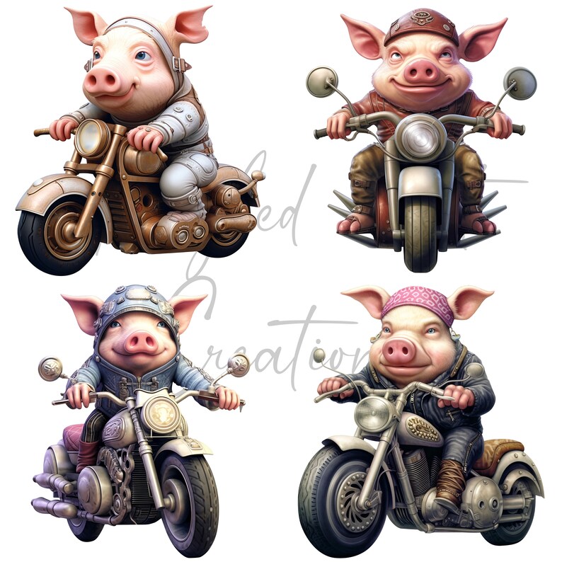 Funny Pig in Motorcycle Caricature, Colorful, High Resolution PNG File ...
