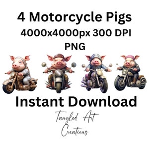 Funny Pig in Motorcycle Caricature, Colorful, High Resolution PNG File ...
