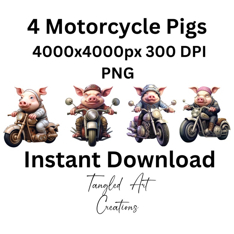 Funny Pig in Motorcycle Caricature, Colorful, High Resolution PNG File ...