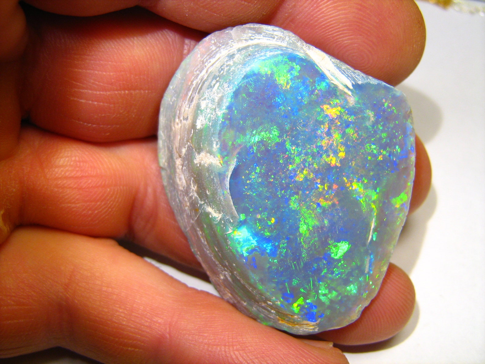 HUGE 95.7ct RARE Museum Quality Australian Opal Seashell - Etsy Canada