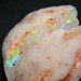 HUGE 95.7ct RARE Museum Quality Australian Opal Seashell - Etsy Canada