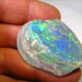 HUGE 95.7ct RARE Museum Quality Australian Opal Seashell Cockle ...