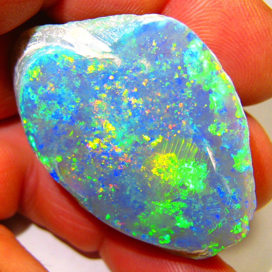 HUGE 95.7ct RARE Museum Quality Australian Opal Seashell - Etsy Canada