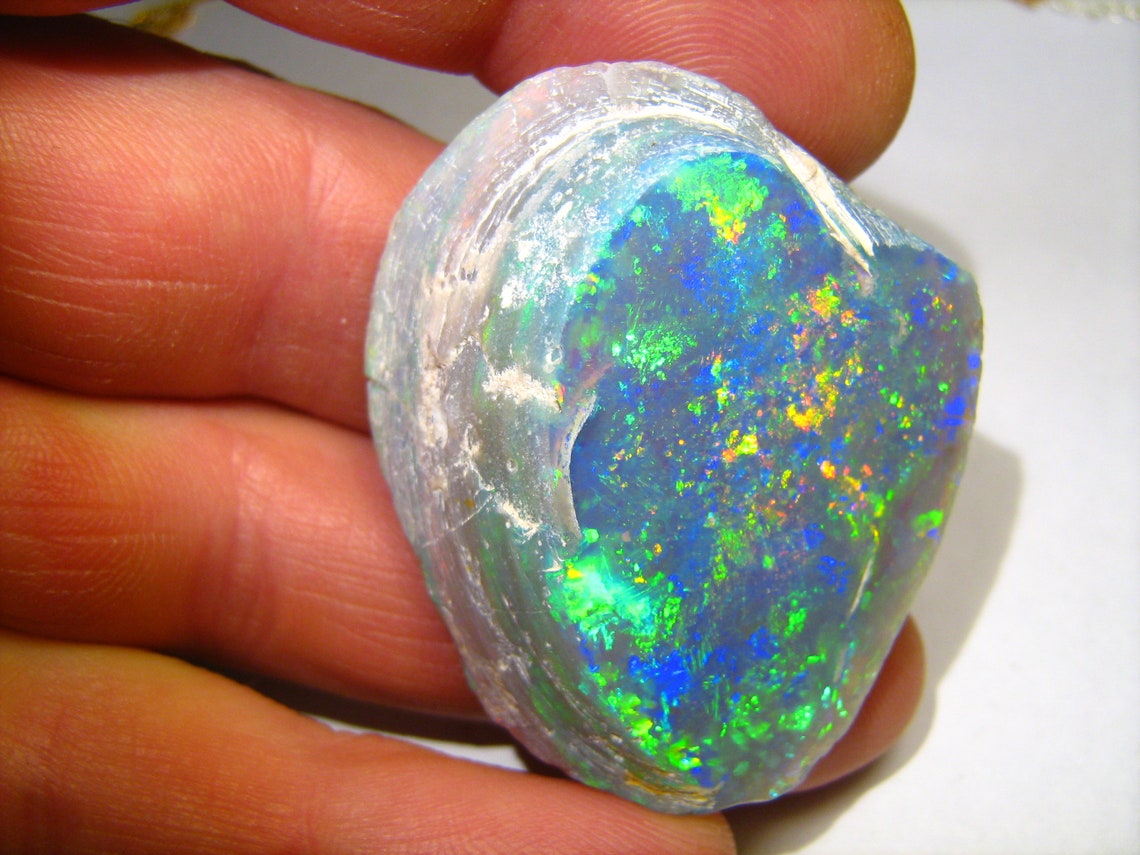 HUGE 95.7ct RARE Museum Quality Australian Opal Seashell - Etsy Canada