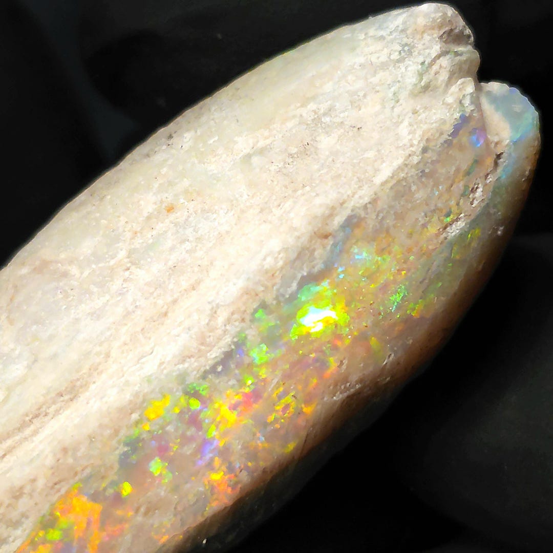 Rare Australian Opal Fossil Collectors Ornament Specimen 123ct 24.6g - Etsy