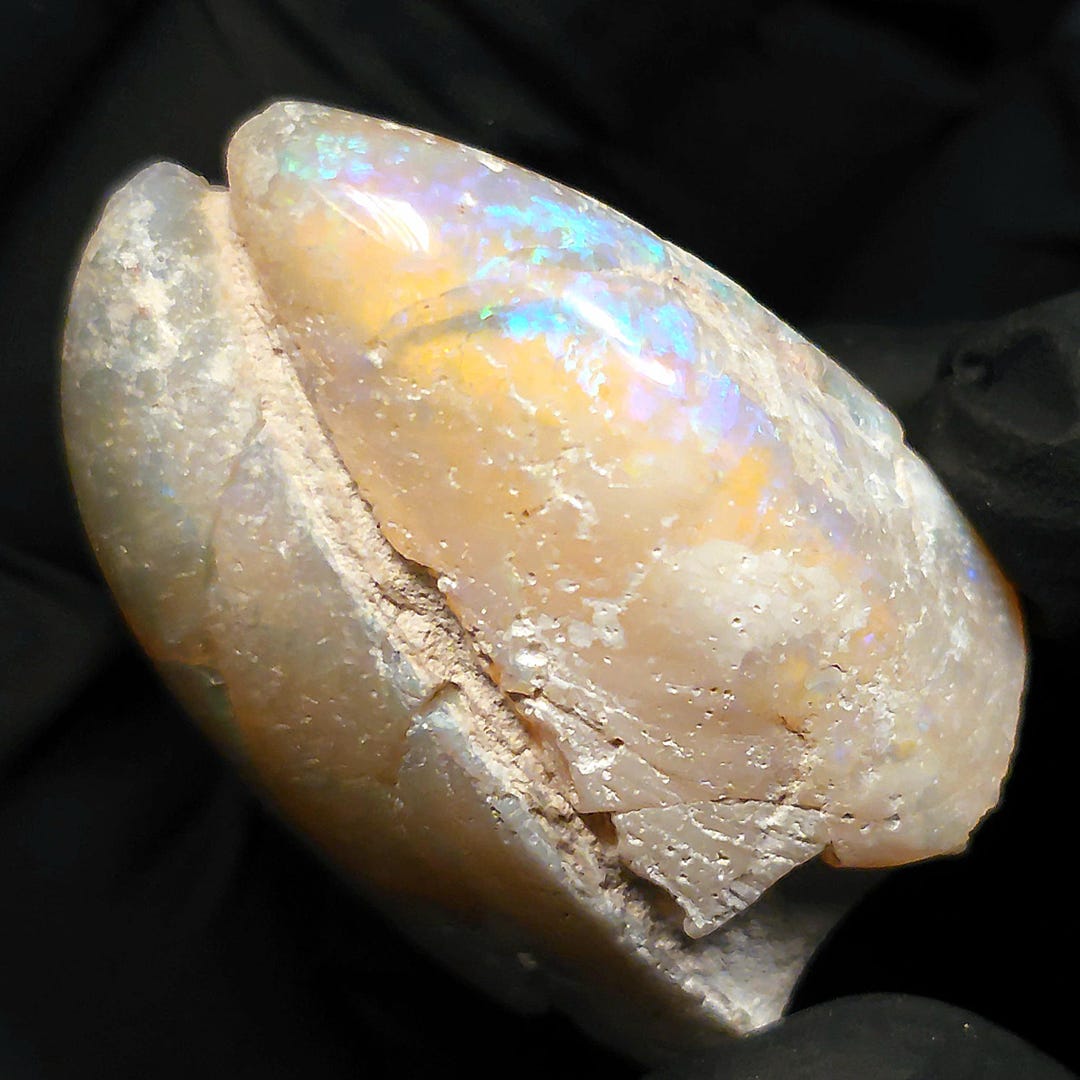 Rare Australian Opal Fossil Collectors Ornament Specimen 90ct 18g - Etsy
