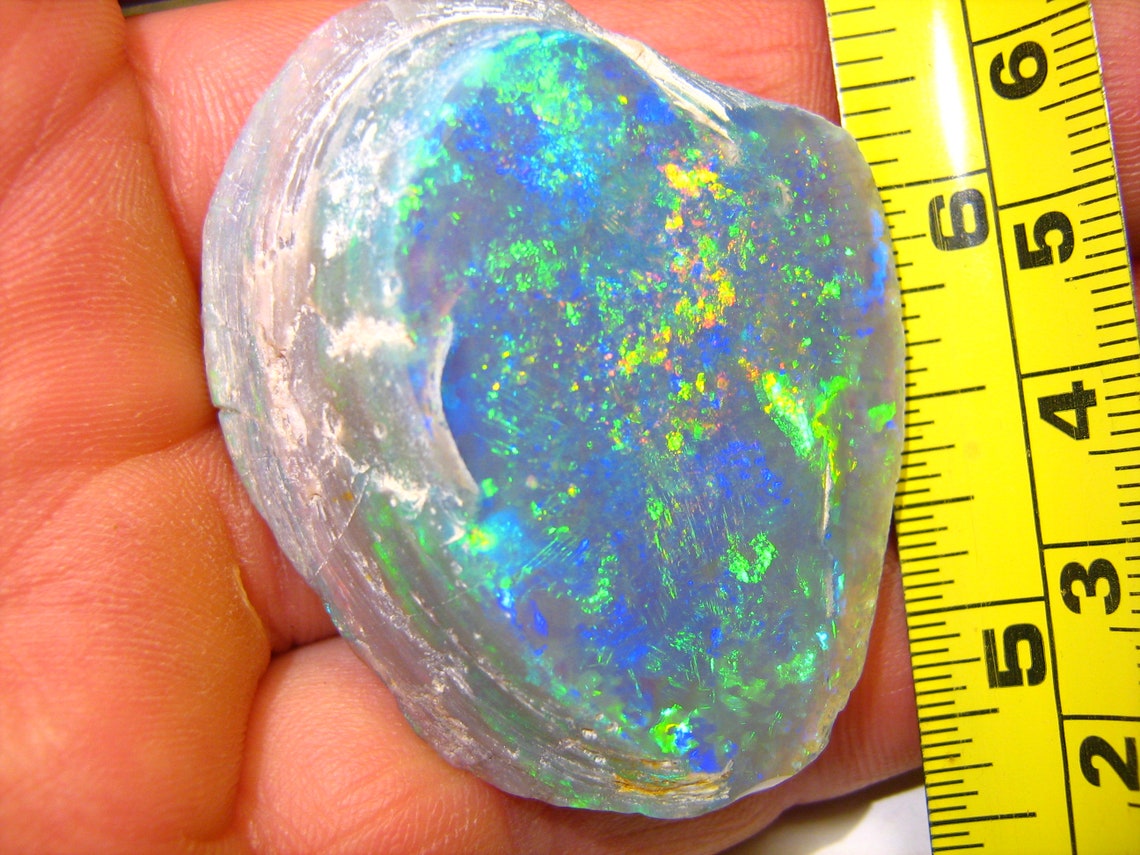 HUGE 95.7ct RARE Museum Quality Australian Opal Seashell | Etsy