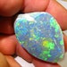 HUGE 95.7ct RARE Museum Quality Australian Opal Seashell Cockle ...