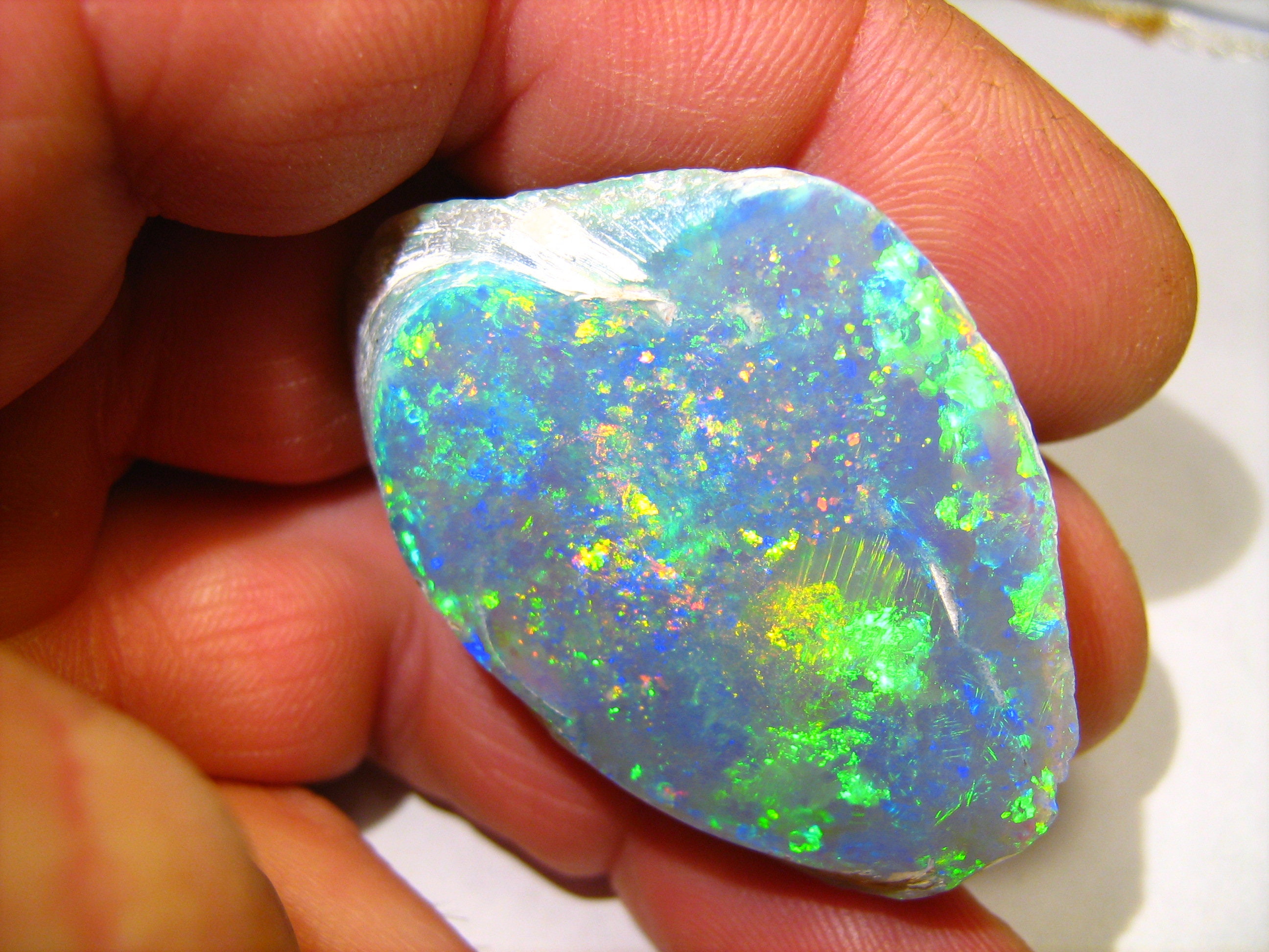 HUGE 95.7ct RARE Museum Quality Australian Opal Seashell - Etsy Canada