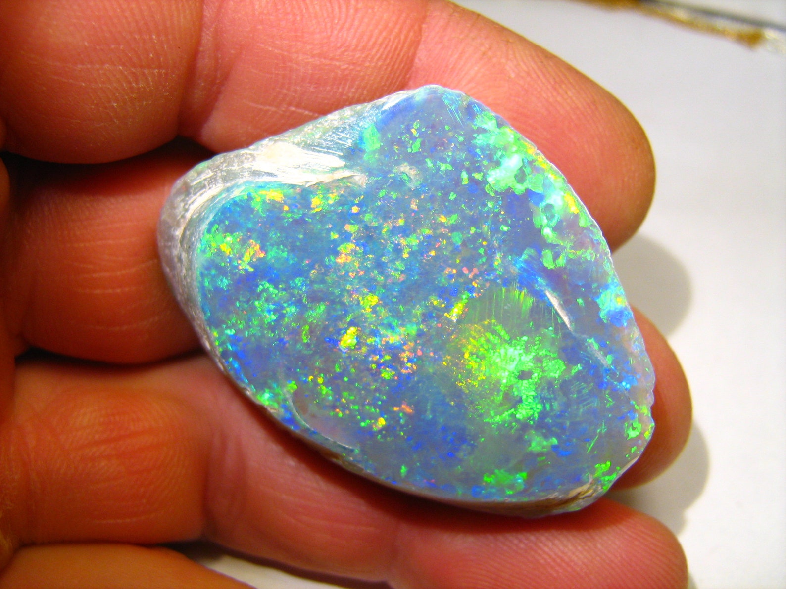 HUGE 95.7ct RARE Museum Quality Australian Opal Seashell - Etsy Canada