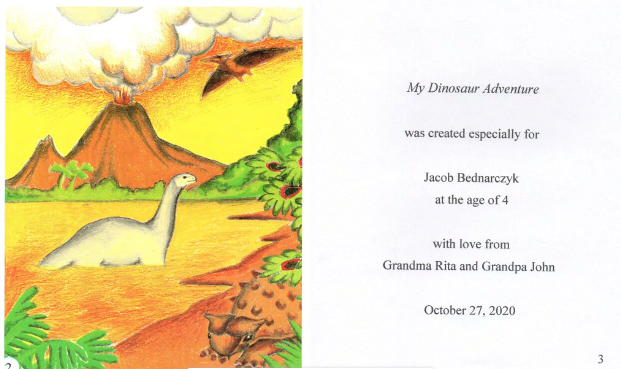 My Dinosaur Adventure Children Personalized Book - Etsy UK