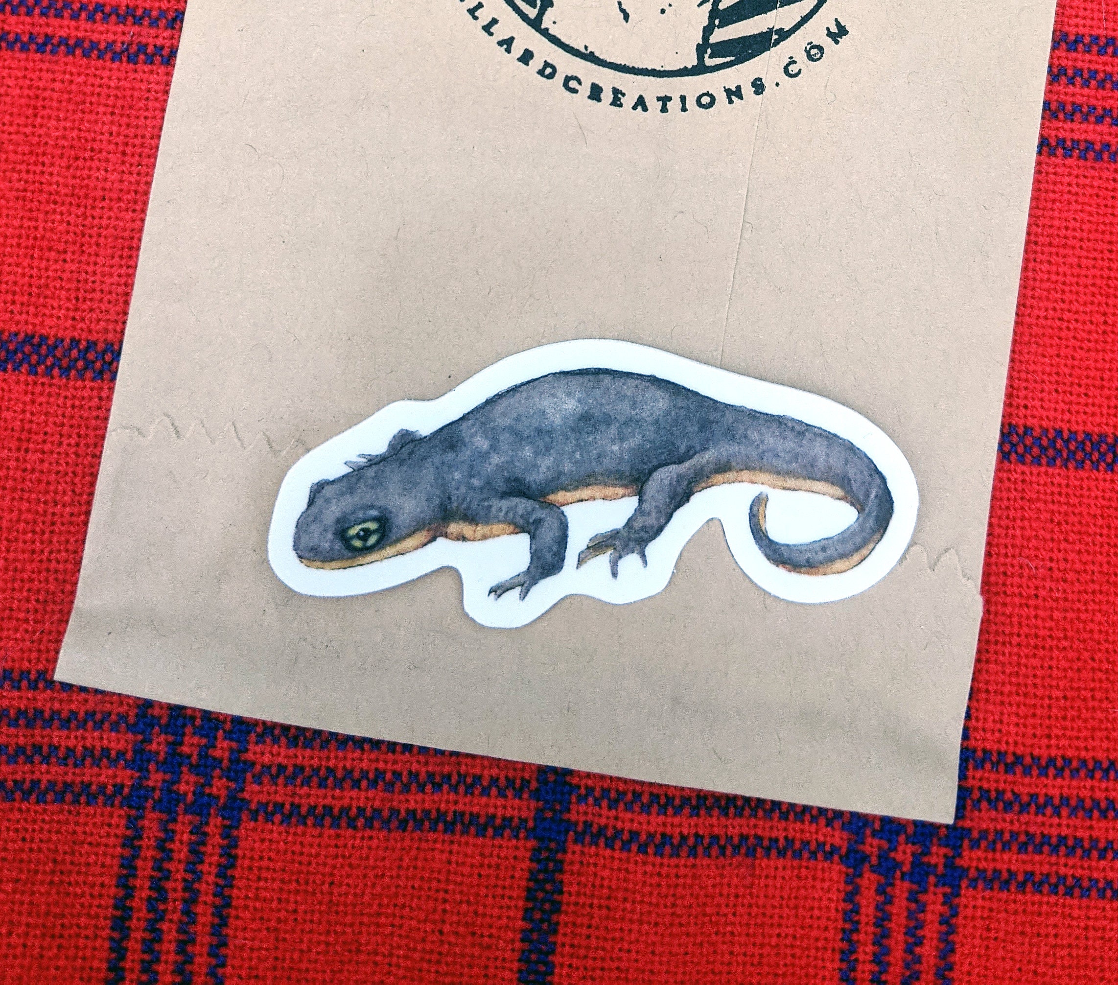 Rough-skinned Newt Sticker - Etsy