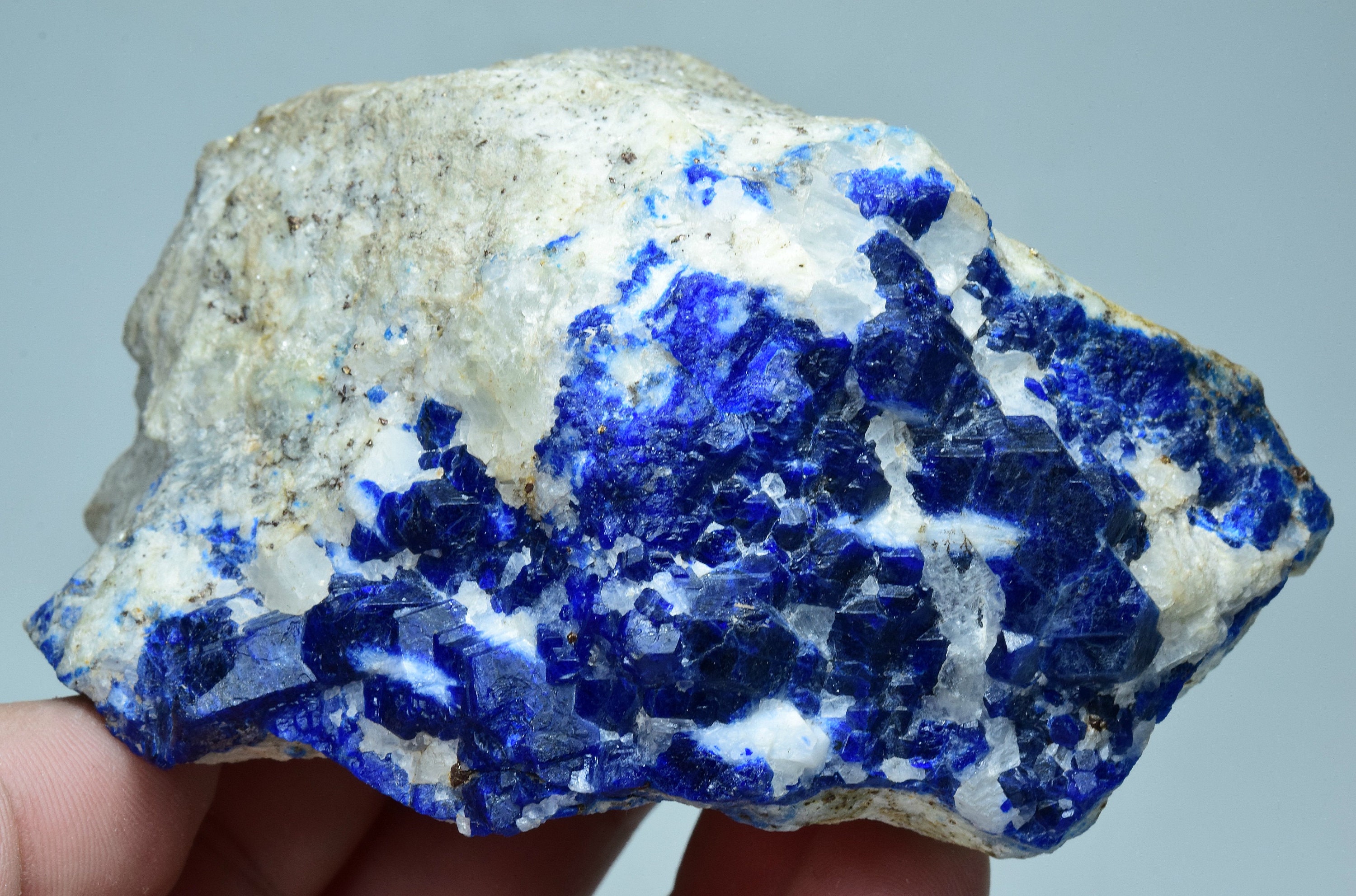 Rare Terminated Hauyne Hauyn Crystal Cluster With Pyrite on Matrix 540 ...