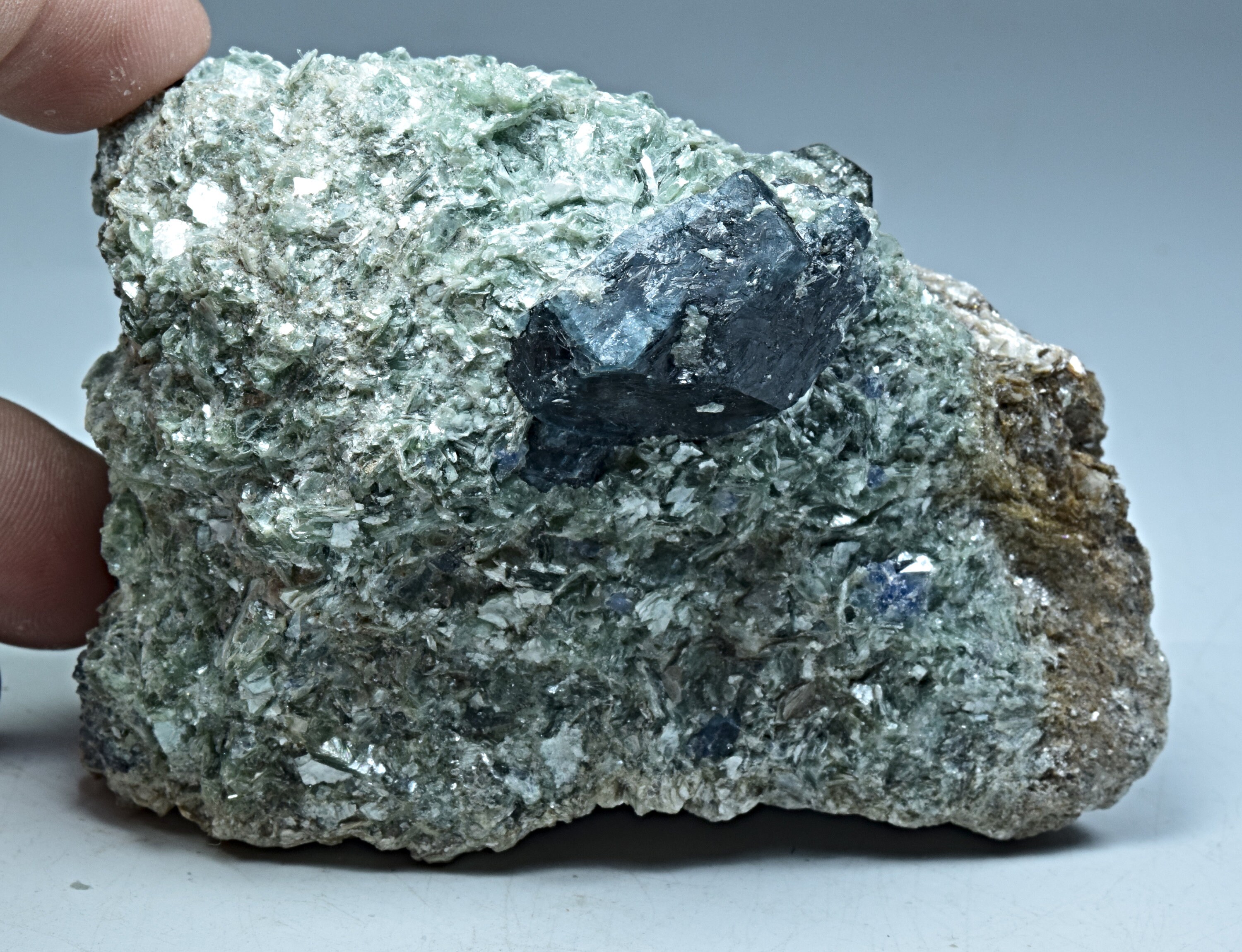 Rare Terminated Lustrous Dravite Tourmaline Crystal on Green - Etsy