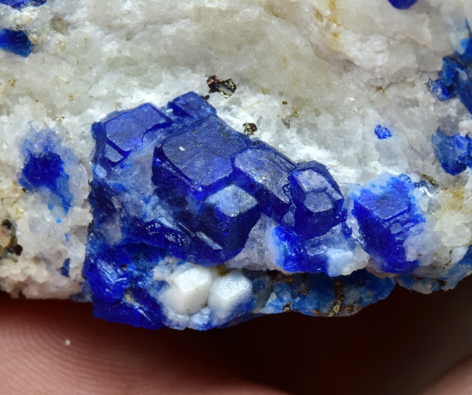 Rare Fluorescent Hauyne Hauyn Crystals W/ Calcite Mica Pyrite on Matrix ...
