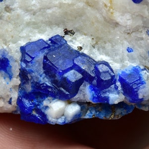 Rare Fluorescent Hauyne Hauyn Crystals W/ Calcite Mica Pyrite on Matrix ...