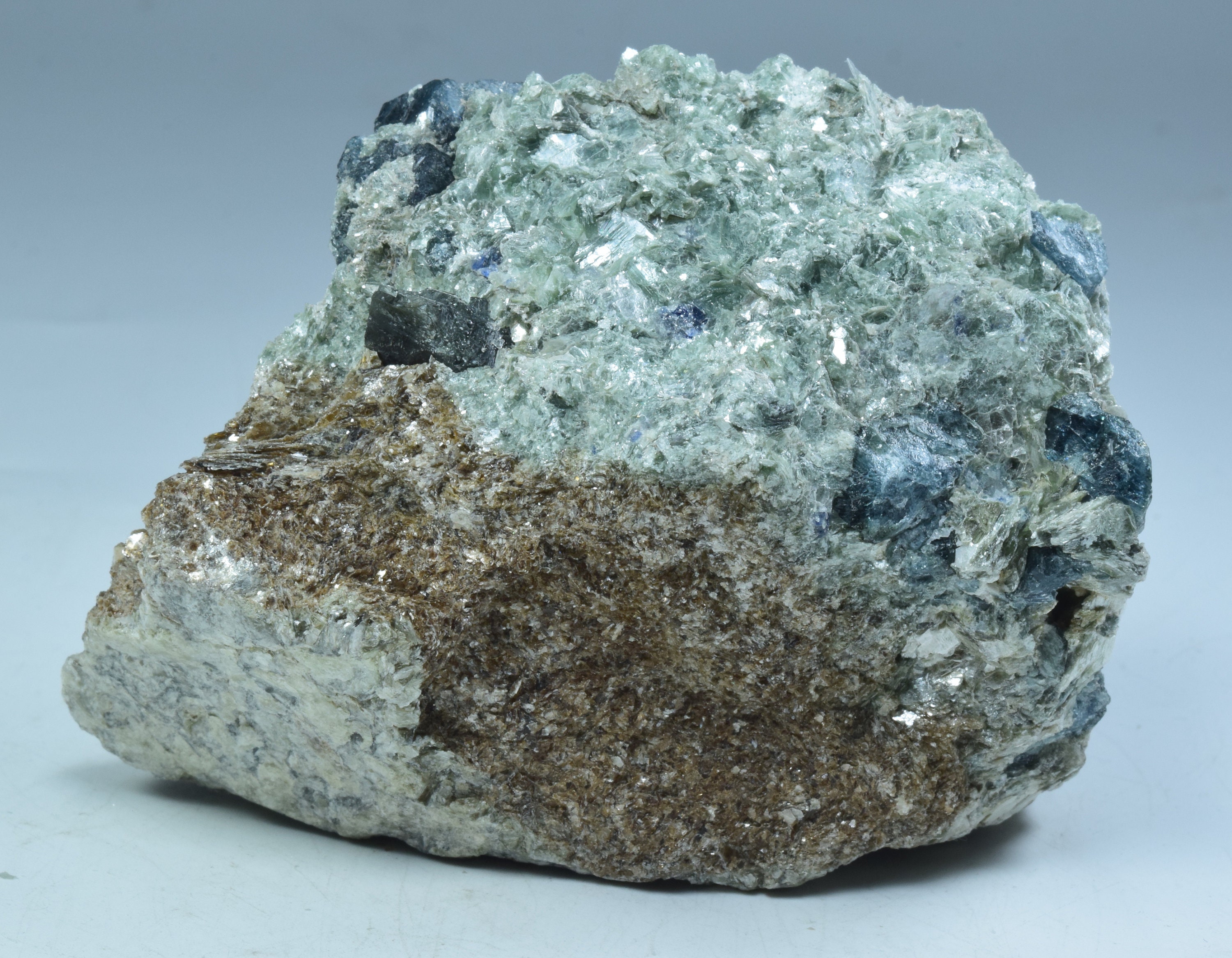 Rare Terminated Lustrous Dravite Tourmaline Crystal on Green - Etsy