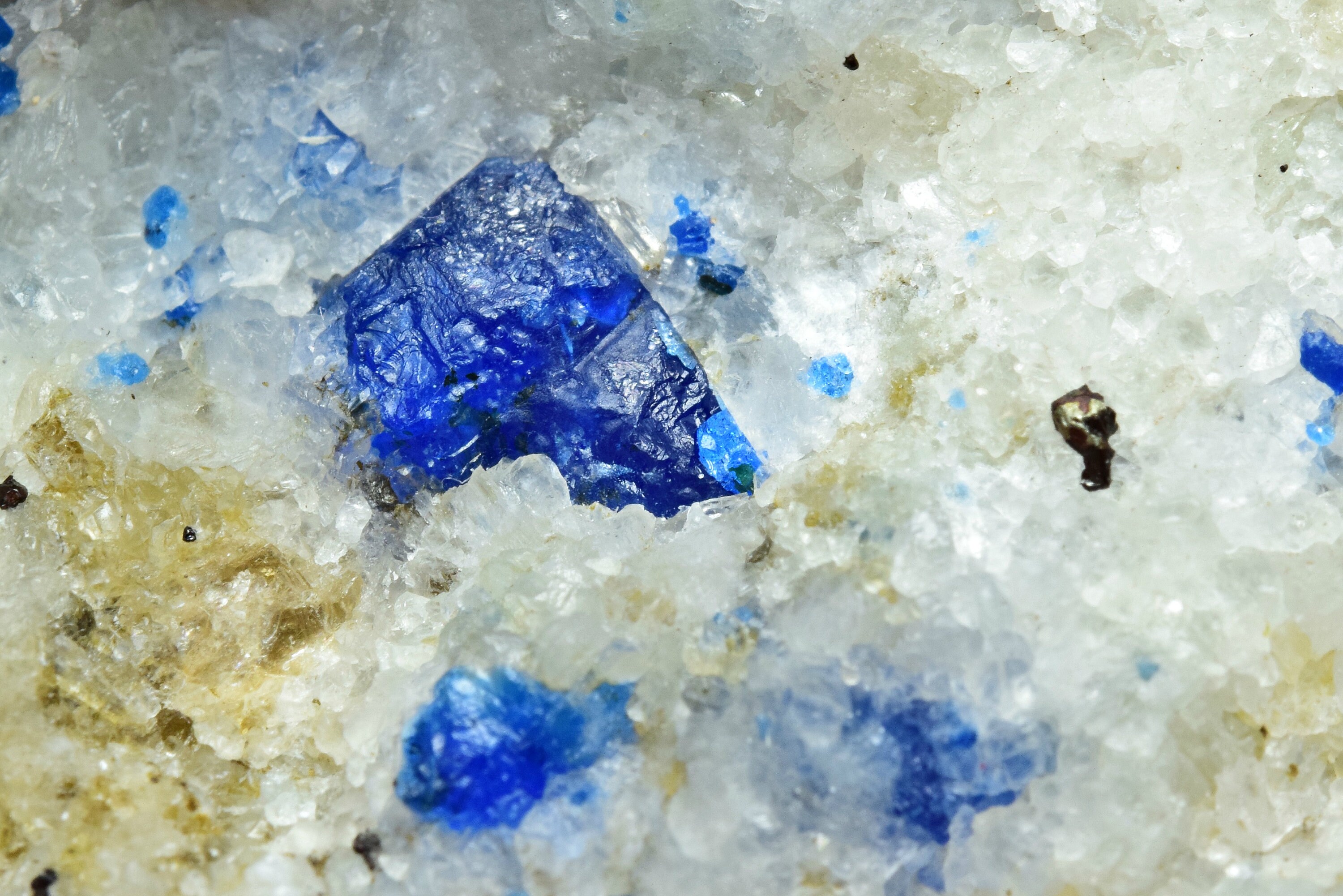 Rare Fluorescent Hauyne Hauyn With Calcite Pyrite Mica on Matrix 179 ...