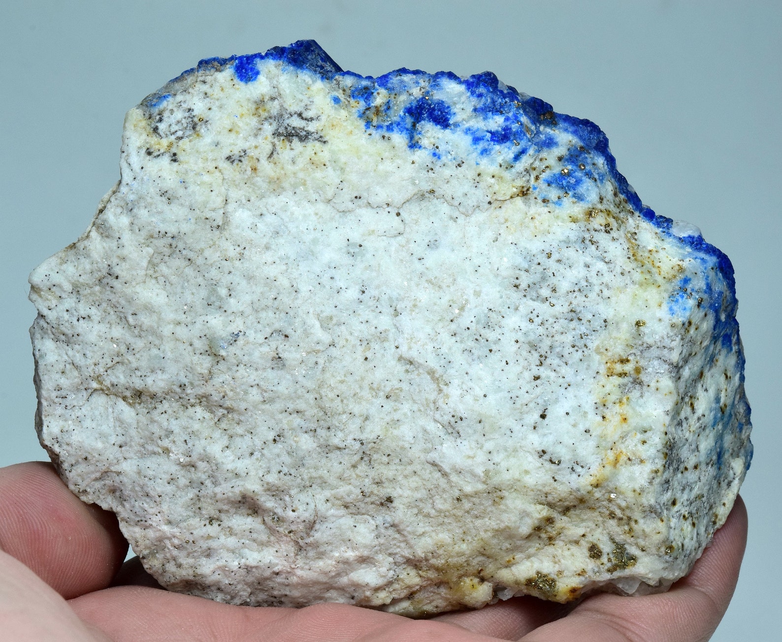 Rare Terminated Hauyne Hauyn Crystal Cluster With Pyrite on Matrix 540 ...
