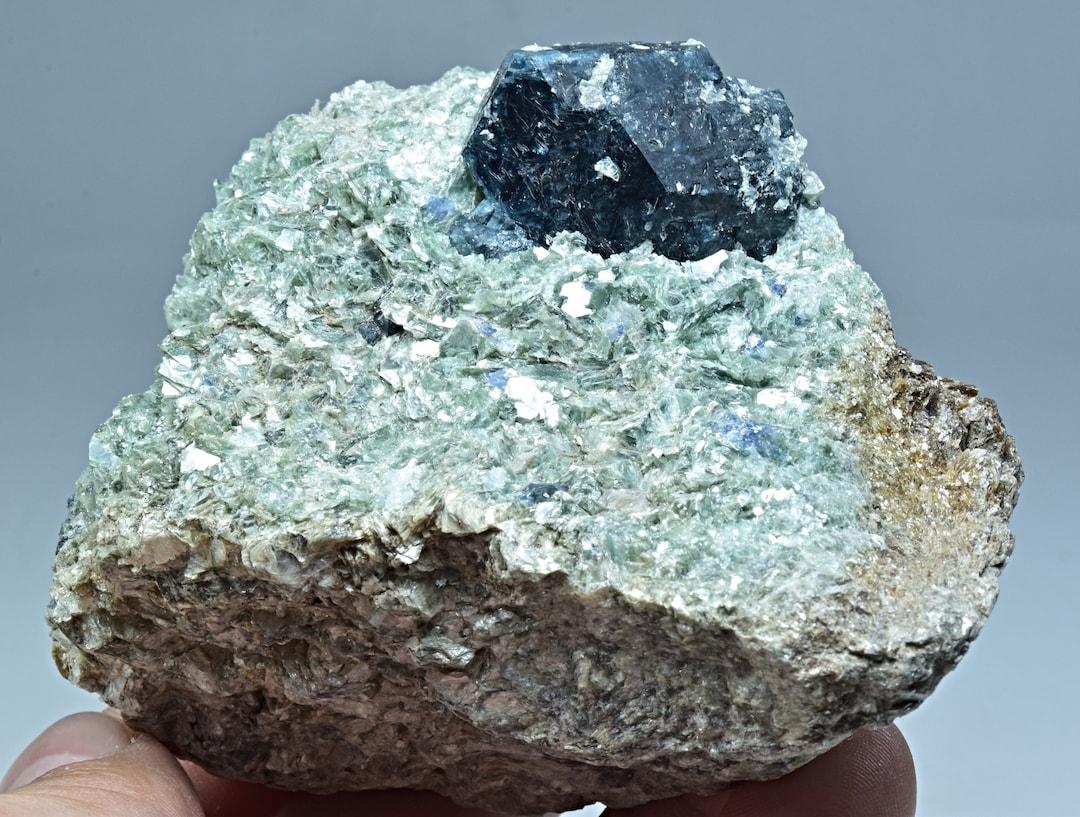 Rare Terminated Lustrous Dravite Tourmaline Crystal on Green Mica ...