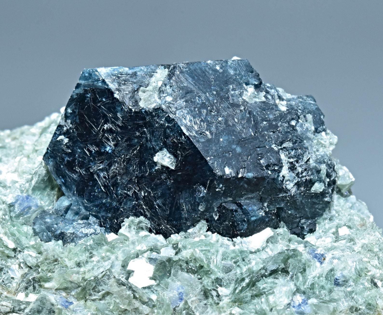 Rare Terminated Lustrous Dravite Tourmaline Crystal On Green | Etsy