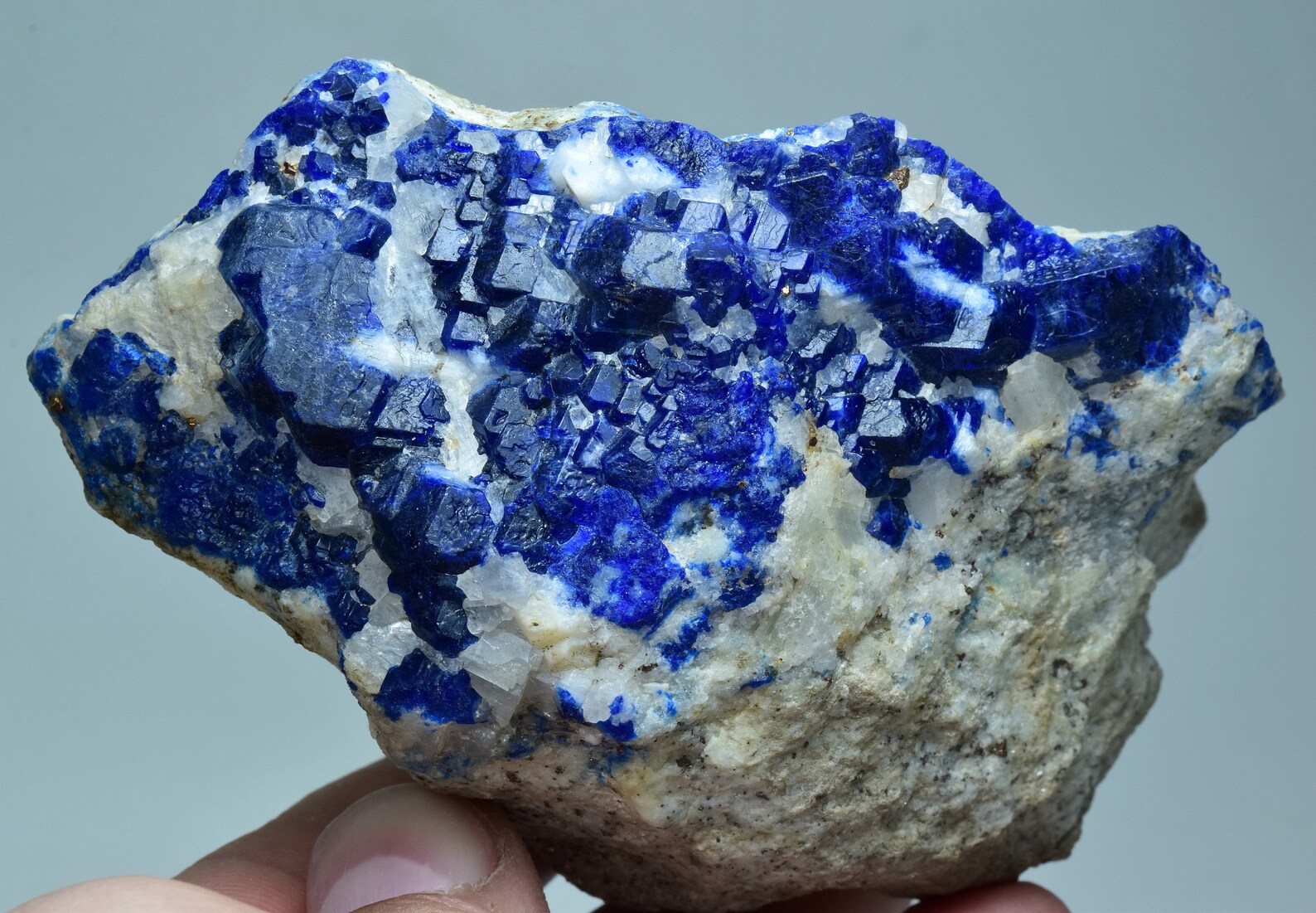 Rare Terminated Hauyne Hauyn Crystal Cluster With Pyrite on Matrix 540 ...