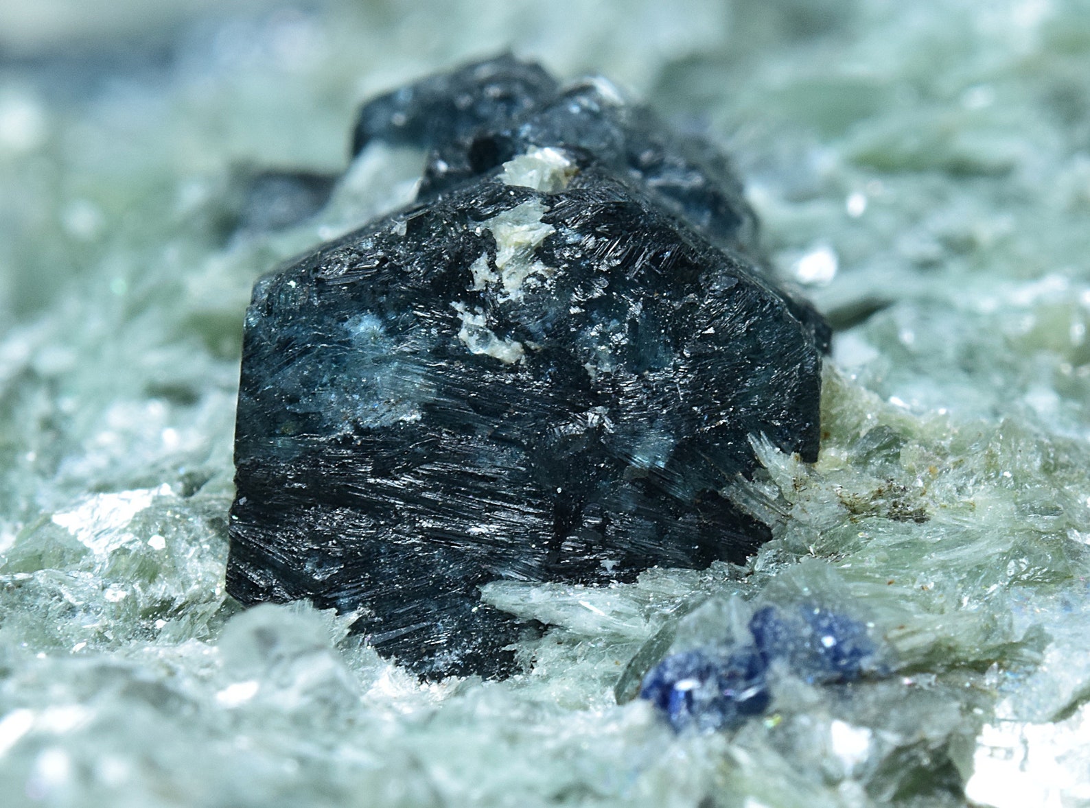 Rare Dravite Tourmaline Crystal W/ Small Sapphire on Green - Etsy